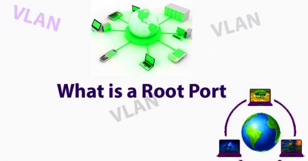 What is a Root Port - Snabay Networking